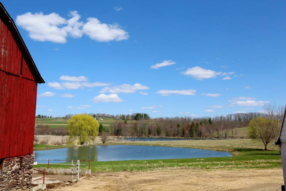 pond – The Barn at Glistening Pond